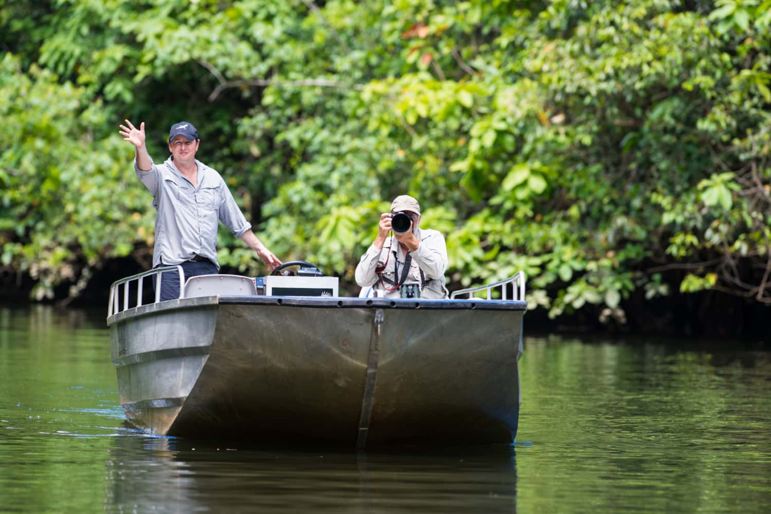 Daintree Boatman Wildlife Cruises | Bird Trails Tropical North Queensland